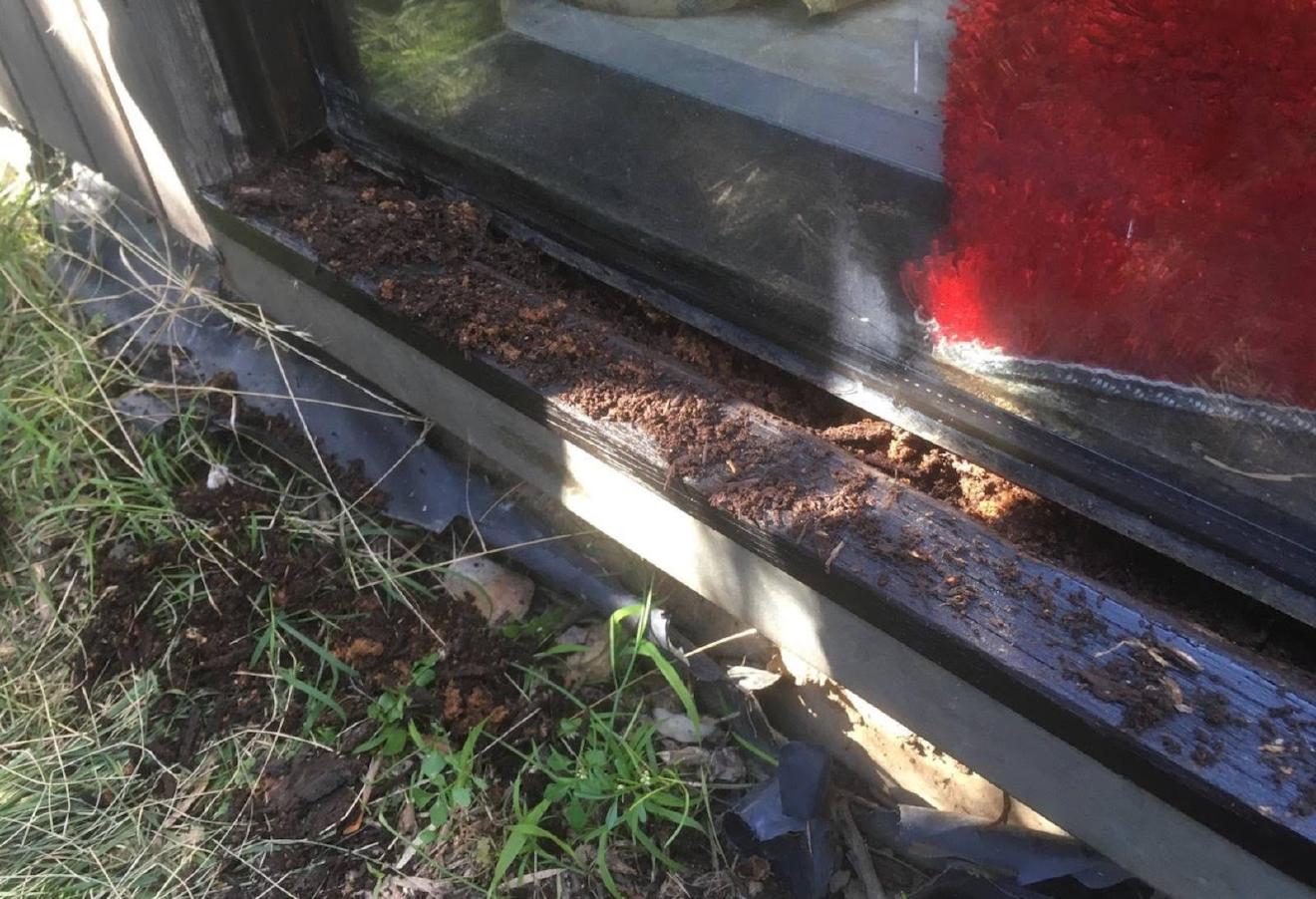 Slab edge insulation · Thermal Integrity